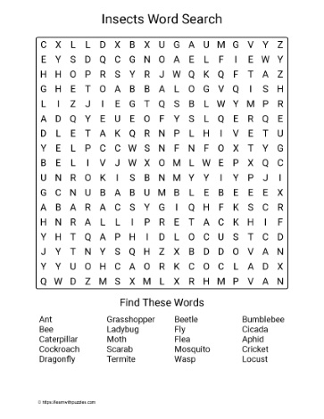 Large Print Insects Word Search Learn With Puzzles